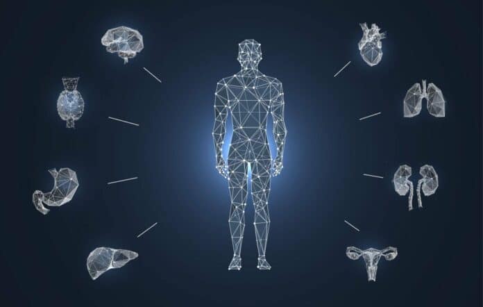 20 Incredible Facts That Prove The Human Body Is Smart